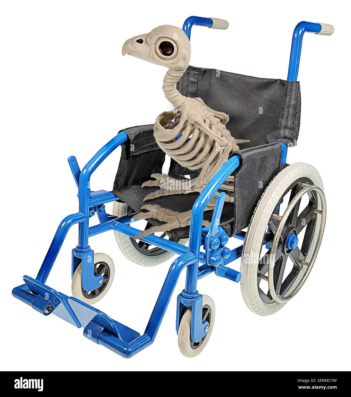 The skeleton of the blue bird of happiness shows you may be too late as ...