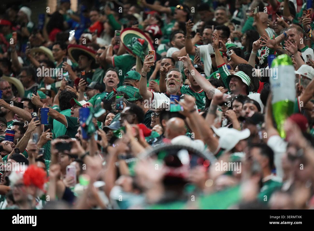 Mexico fans cheer during the World Cup Group A soccer match between ...