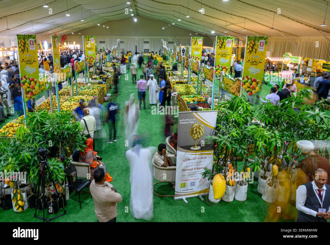 Visitors attend the 3rd Indian Mango Festival at Souq Waqif. The ...