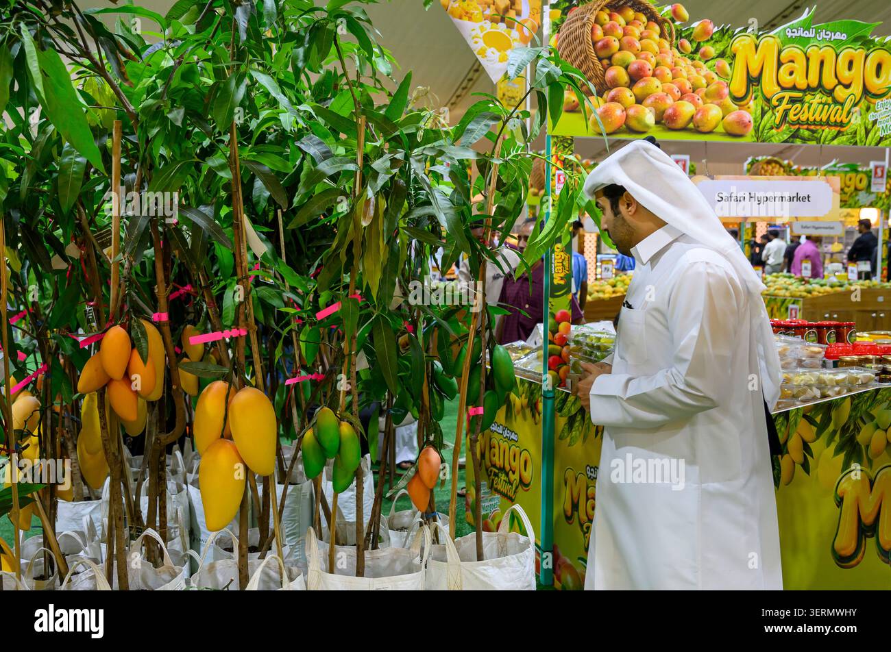 A visitor looks at potted mango trees displayed during the 3rd Indian ...