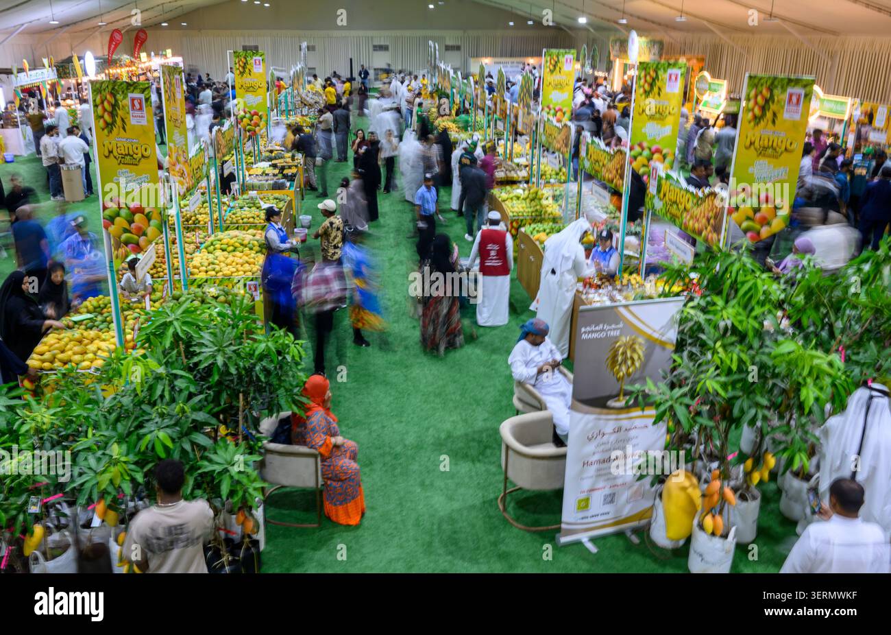 People choose mangoes during the 3rd Indian Mango Festival at Souq ...