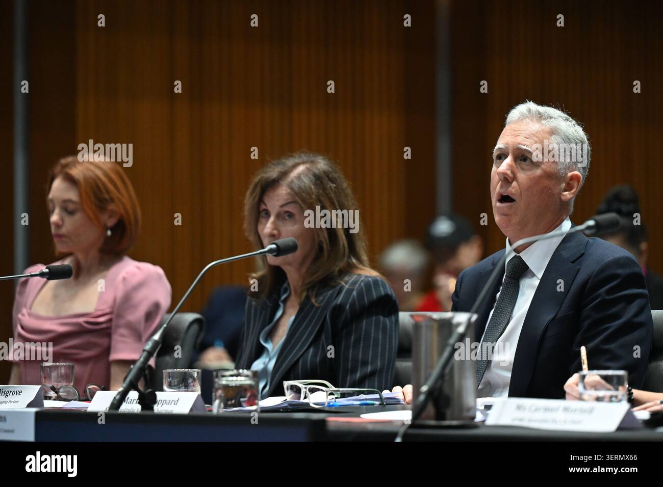 KPMG Australia National Chairman Martin Sheppard speaks during an ...