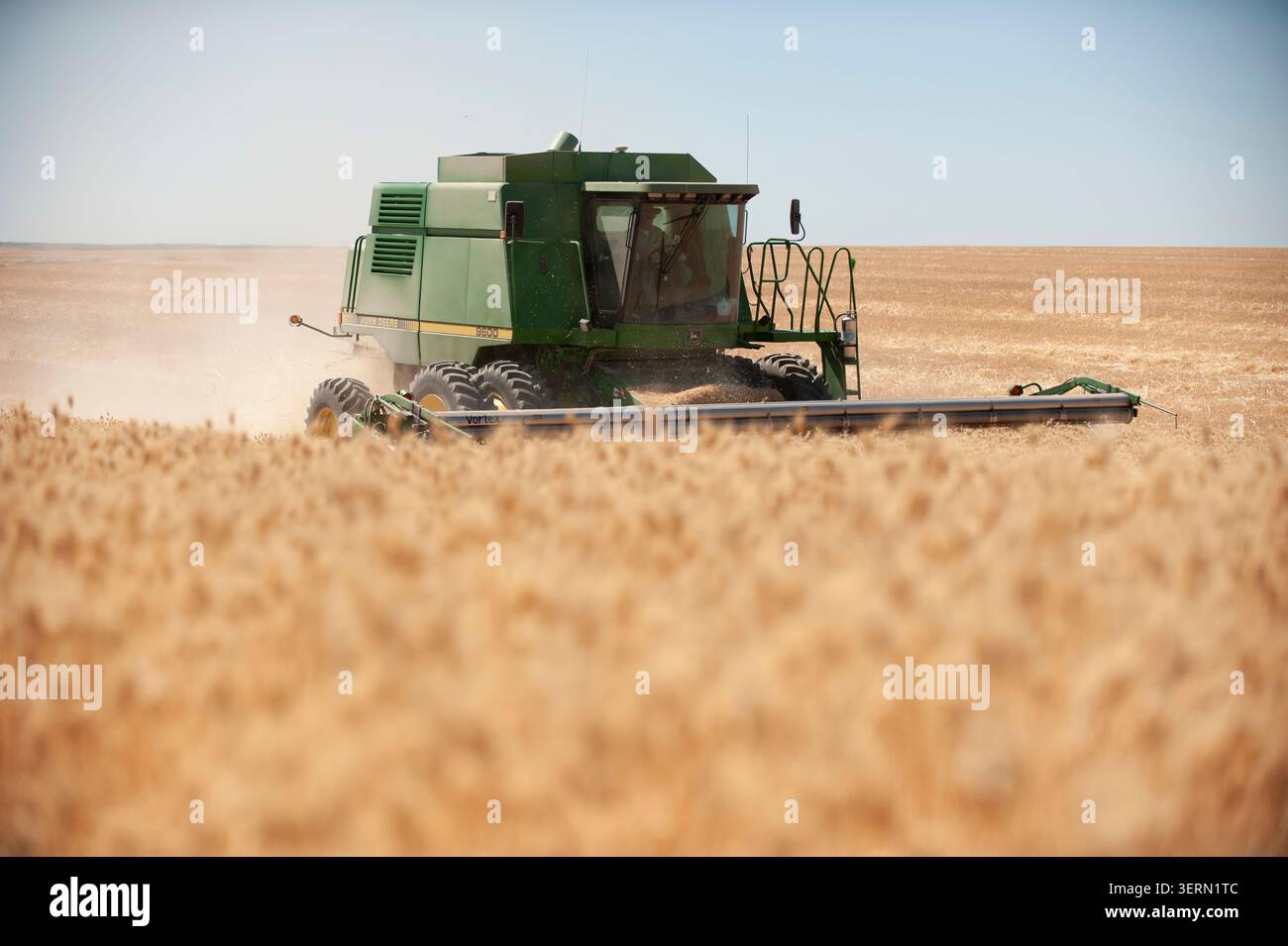 Upscaled with Gigapixel v8.4.4. 4256x2832 => 8512x5664 (2x) @ 300 ppi ...