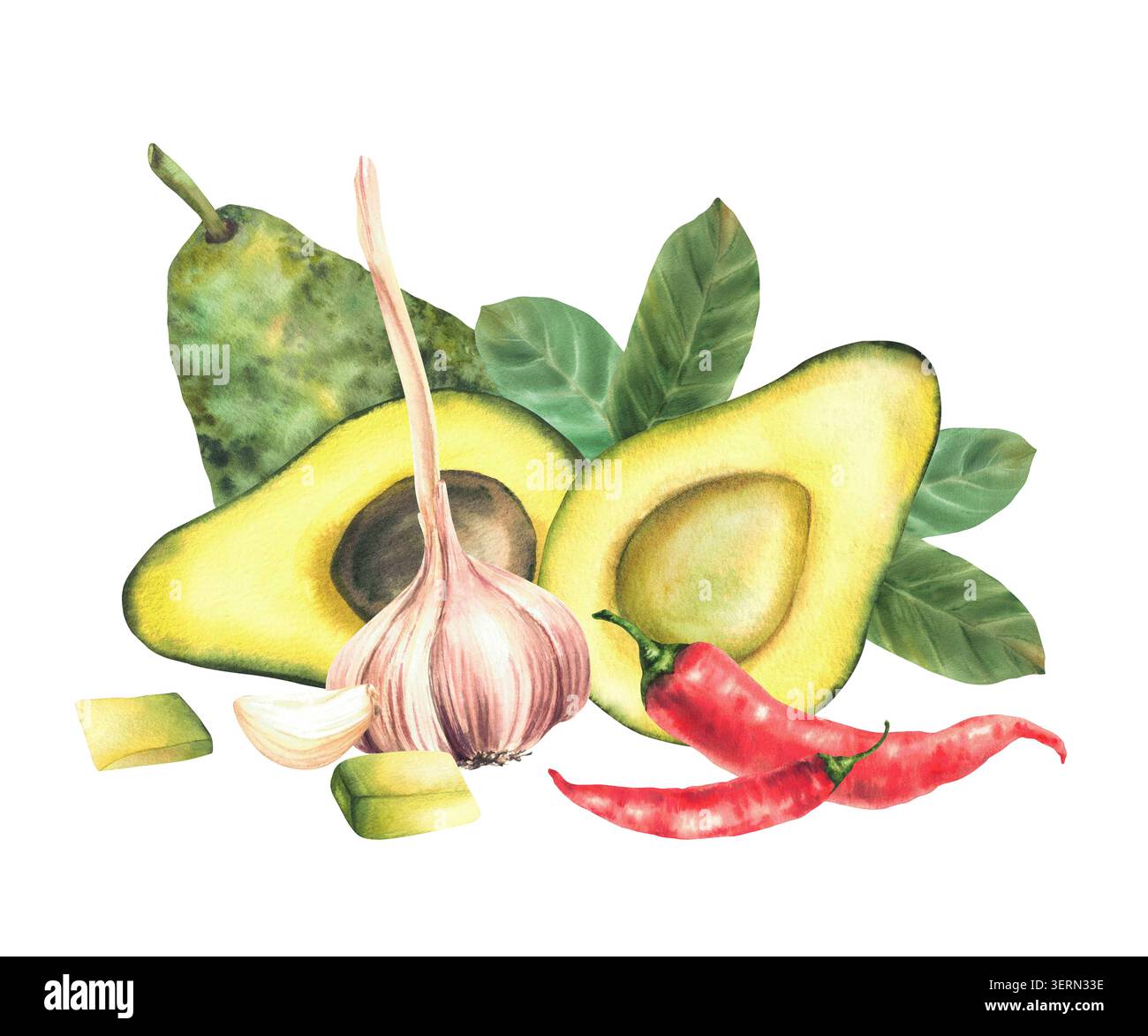 Whole and sliced avocados with leaves, garlic bulb, clove and red chili ...