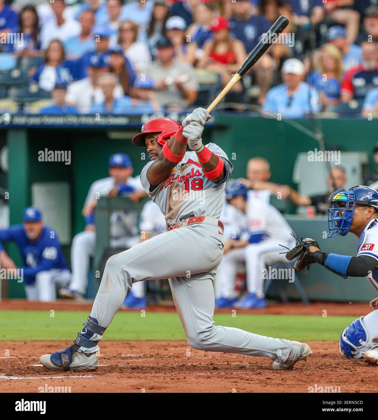 JUN 18, 2026: St. Louis Cardinals outfielder Jordan Walker (18) hits a ...