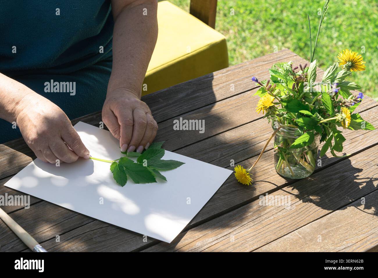 Hands carefully arrange fresh wildflowers on white paper, creating a ...