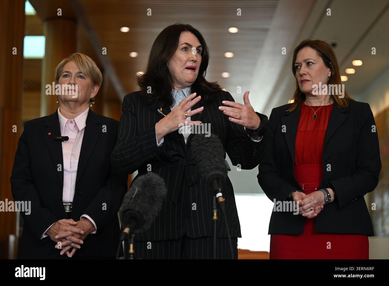 Labor Senator Deborah O’Neill speaks to the media during a break of an ...
