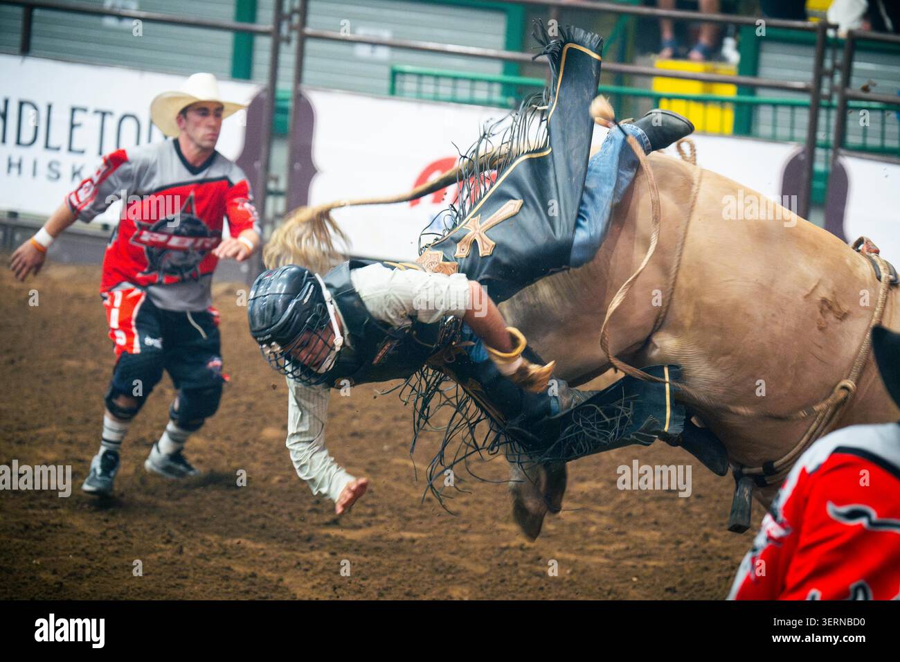 A roughstock rider on a bull as England fans watch a rodeo at the ...
