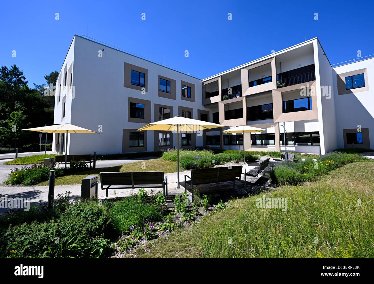 PRODUCTION - 19 June 2026, Bavaria, Munich: The sun is shining on the ...