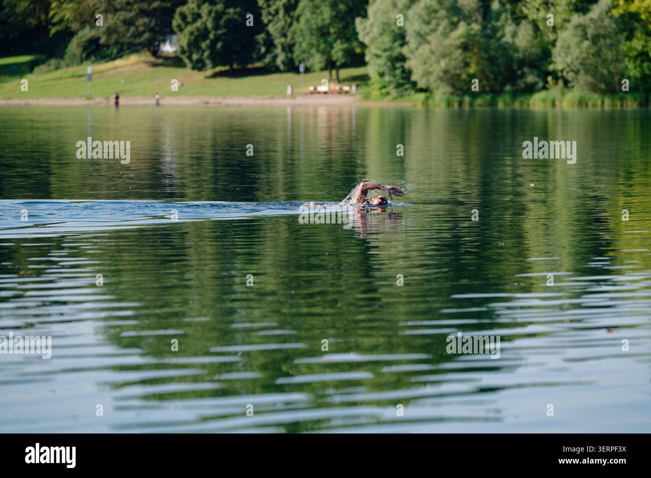 19 June 2026, Baden-Württemberg, Mannheim: A swimmer is doing the crawl ...