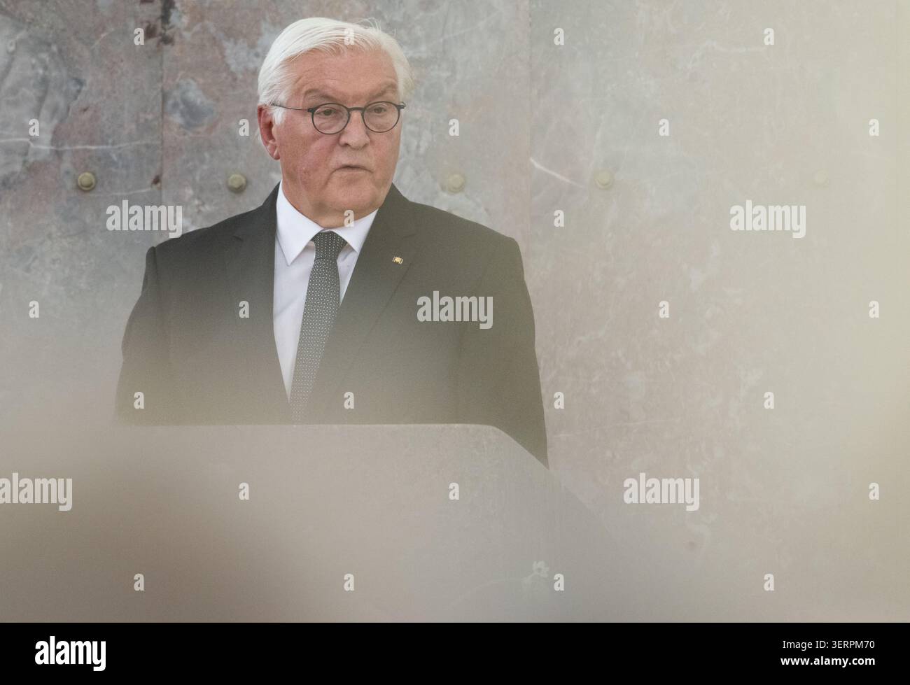 19 June 2026, Hesse, Frankfurt am Main: Federal President Frank-Walter ...