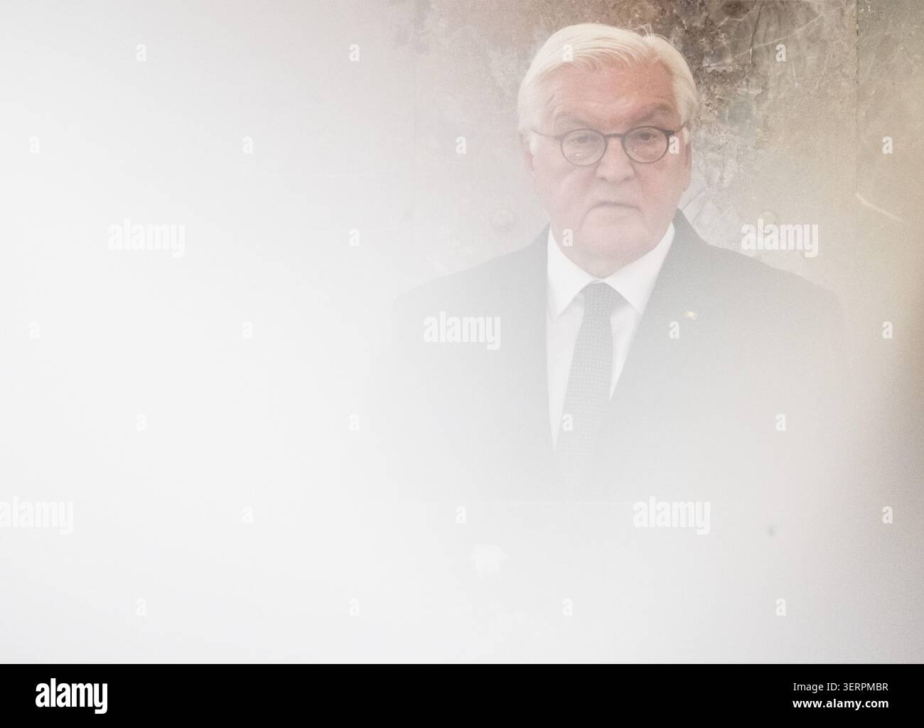 19 June 2026, Hesse, Frankfurt am Main: Federal President Frank-Walter ...