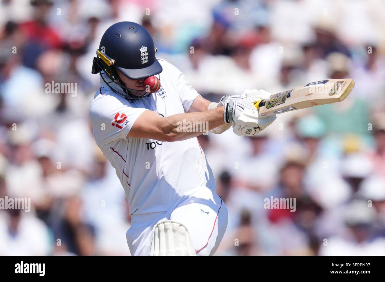 England's Matt Fisher is hit by a bouncer from New Zealand's Will O ...