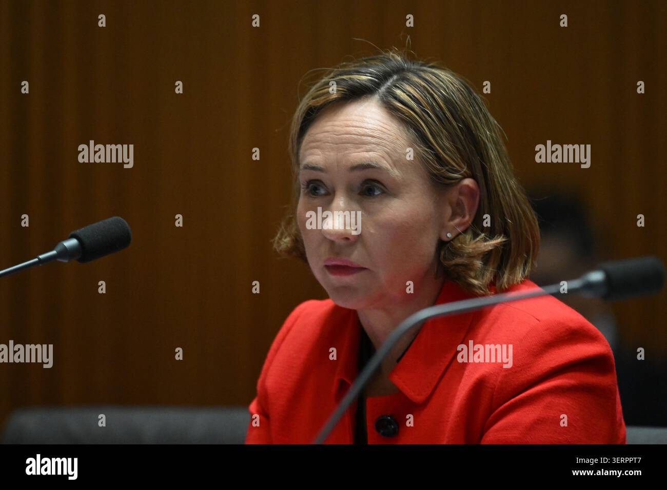 Ashhurst Partner Jane Harvey speaks during an inquiry hearing into ...