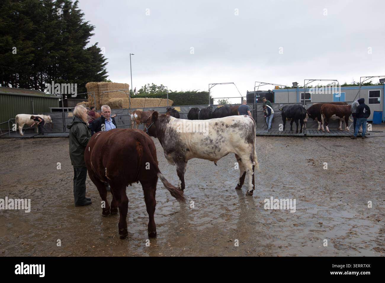 Edinburgh. Scotland, UK 19 June 2026. The Royal Highland Show is an ...