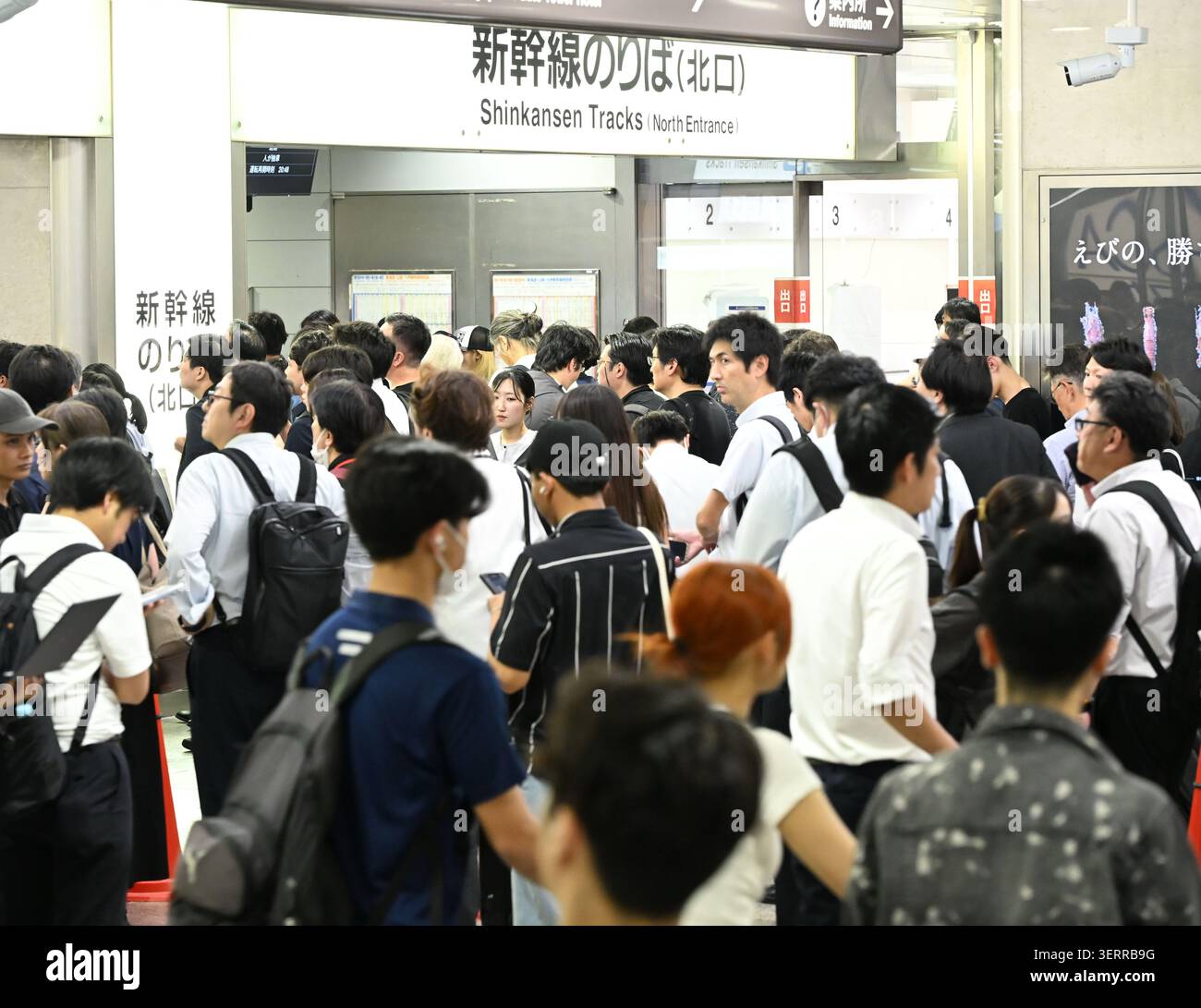 A photo shows congestion at Tokyo Station in Tokyo, Japan, due to a ...