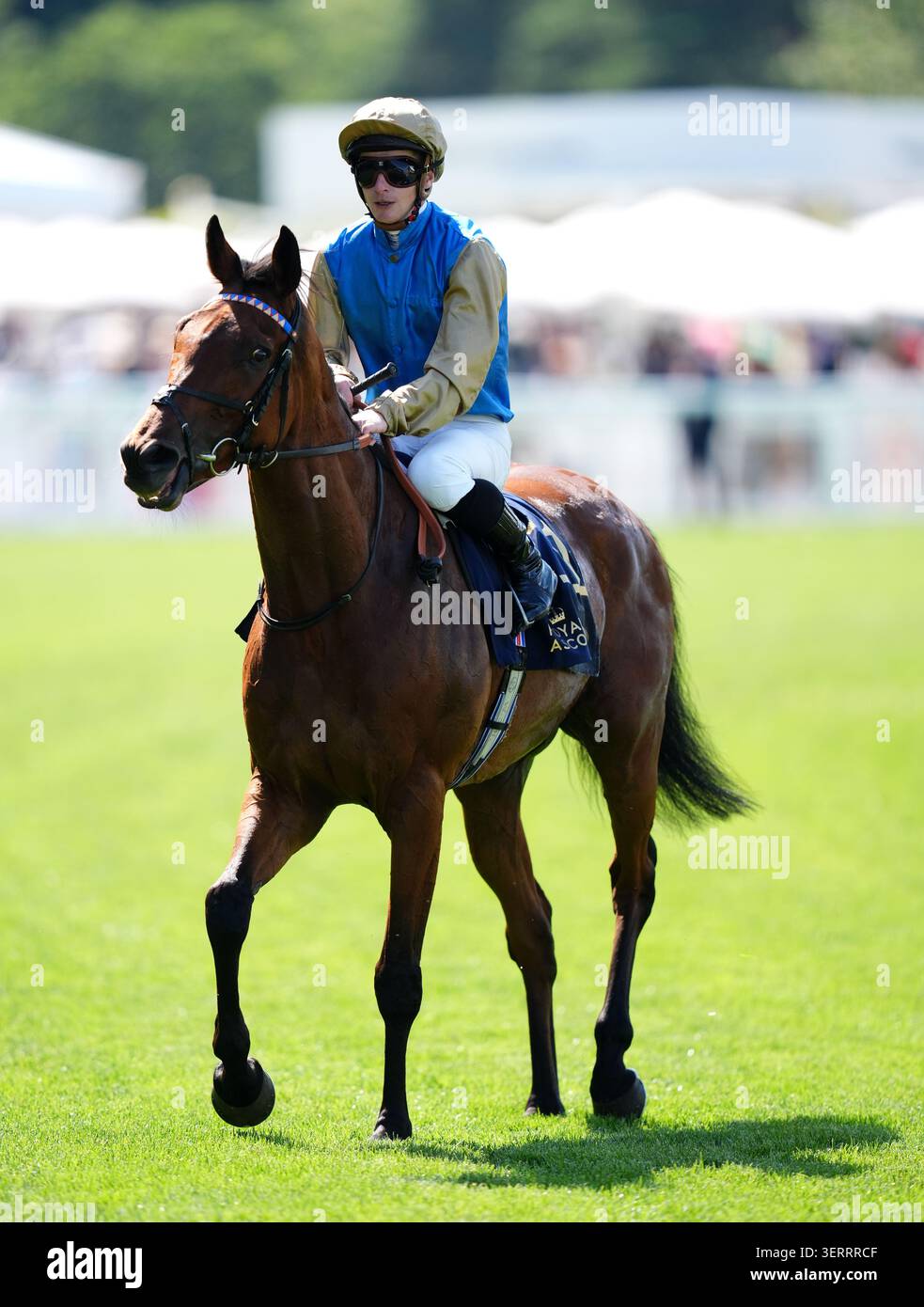 James McDonald on board Opportunity after winning the Duke Of Edinburgh ...