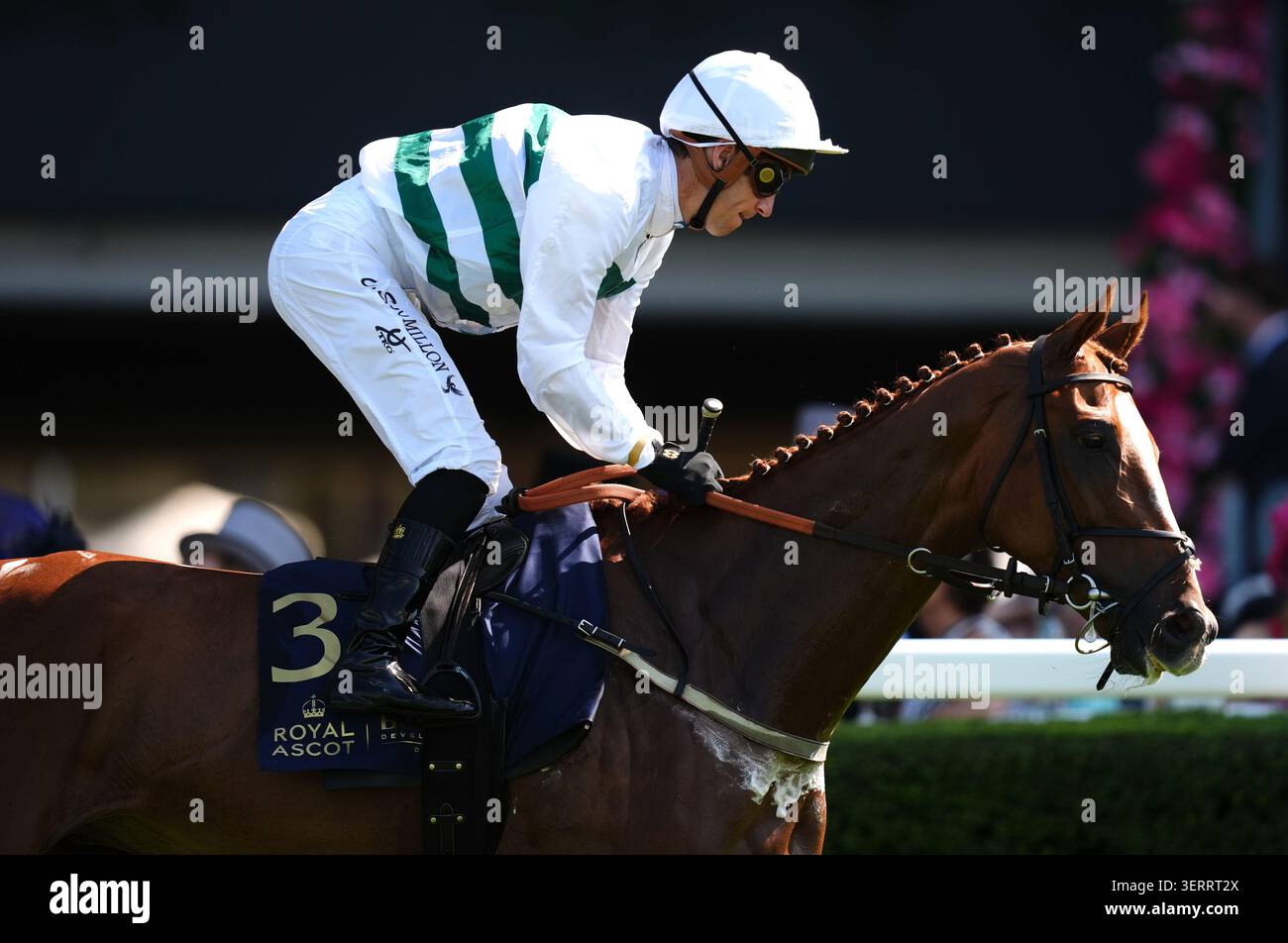 Mondo Man ridden by Christophe Soumillon goes to post ahead of the Duke ...