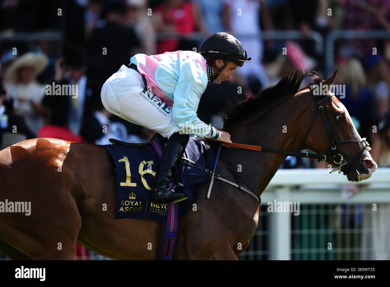 Nesthorn ridden by Neil Callan goes to post ahead of the Duke Of ...