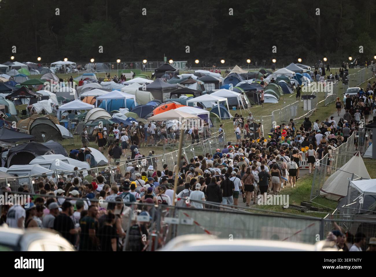 19 June 2026, Baden-Württemberg, Neuhausen ob Eck: Numerous ...