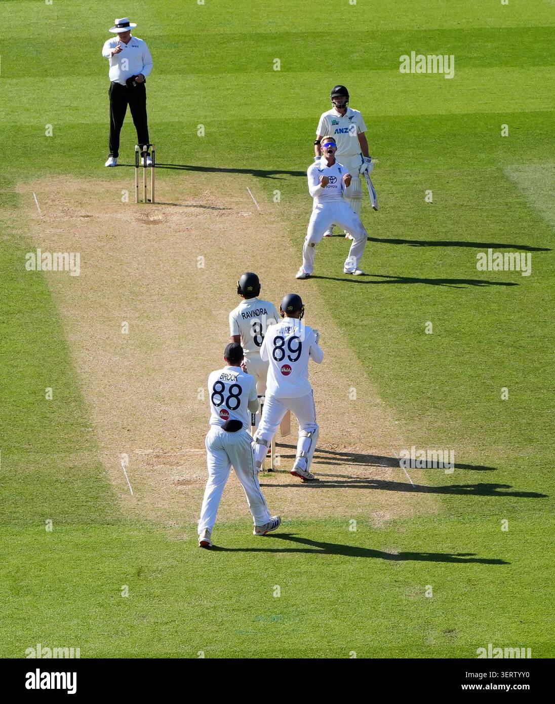England's Jacob Bethell celebrates taking the wicket of New Zealand's ...