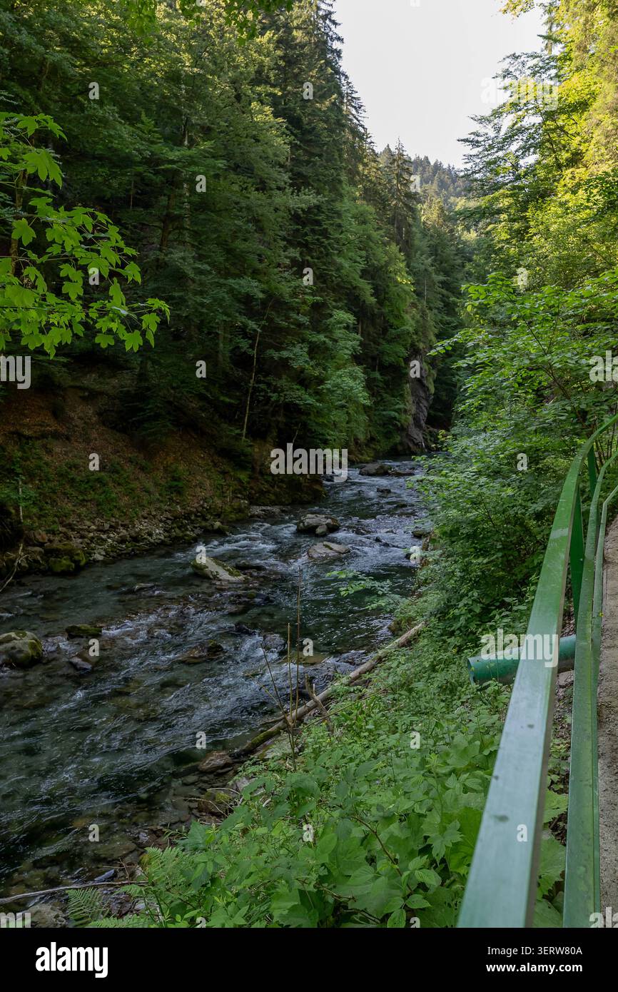 Die Breitach am Eingang zur Klamm Themenbild Natur, Wanderung durch die ...
