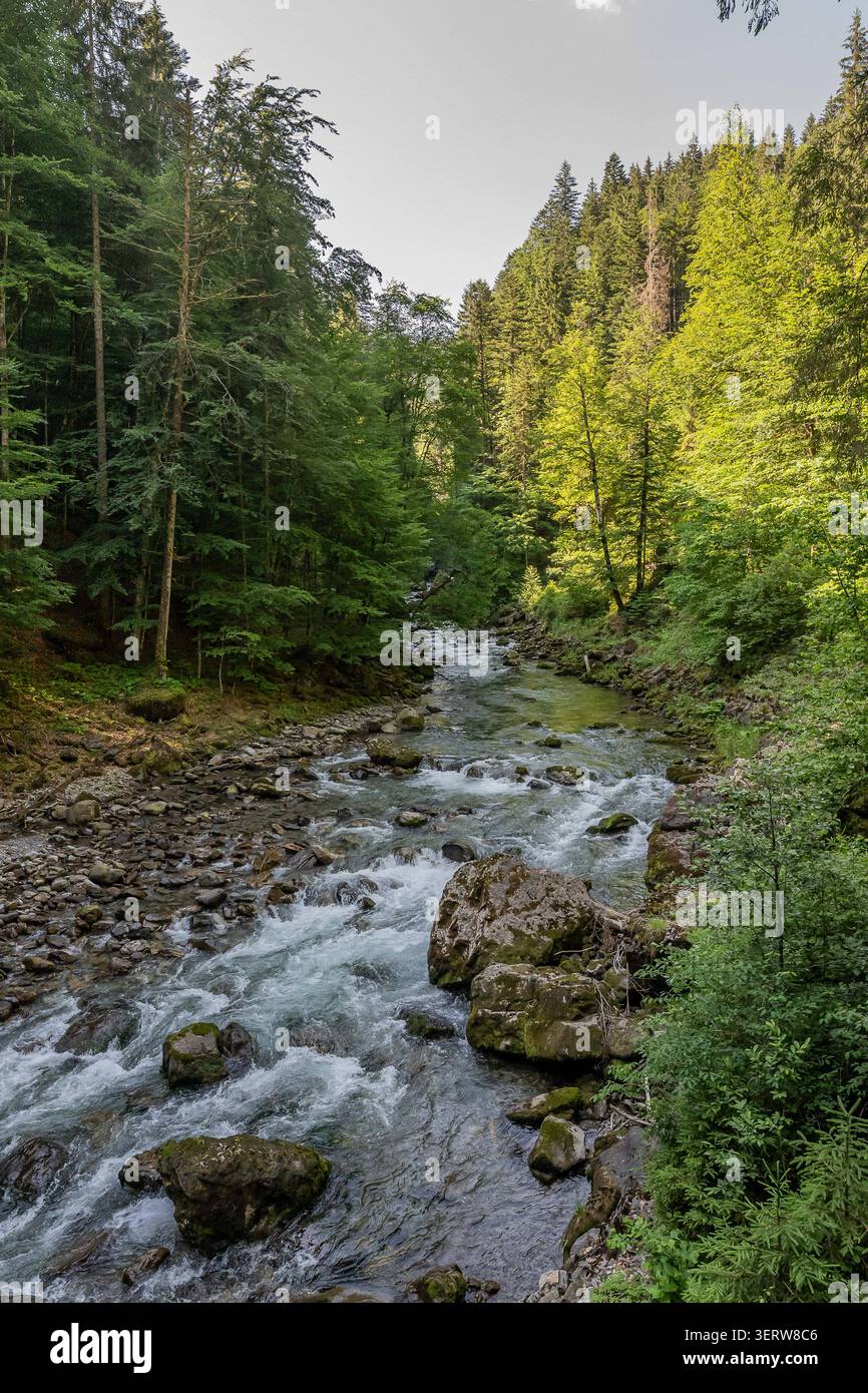 Die Breitach in der Klamm Themenbild Natur, Wanderung durch die ...