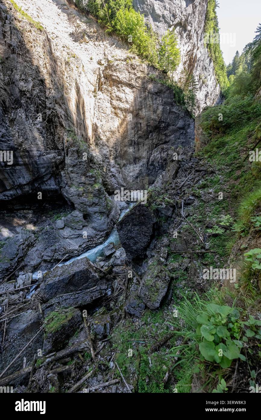 Bruchholz liegt in der Klamm Themenbild Natur, Wanderung durch die ...