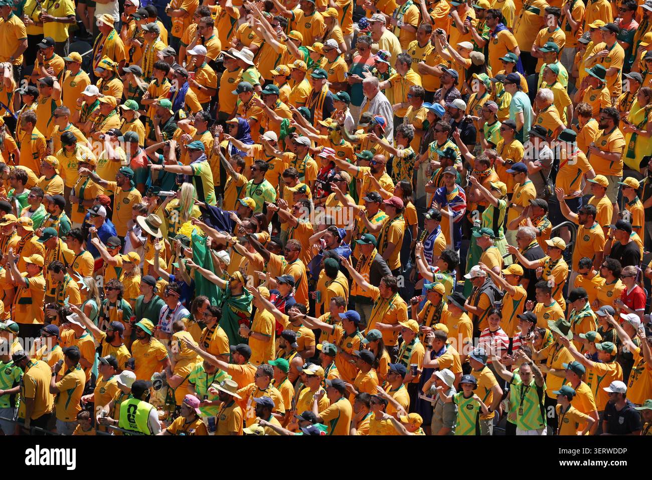 Australia fans cheer during the World Cup Group D soccer match between ...