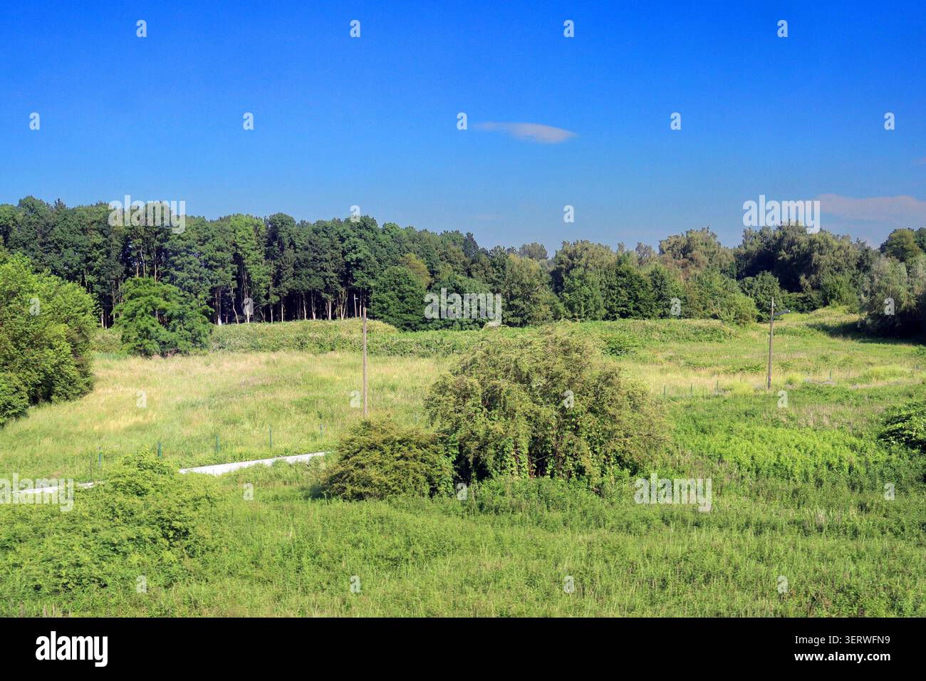 Hitzewelle im Auenland Die Auenlandschaft der Ruhr im Essener Ruhrtal ...
