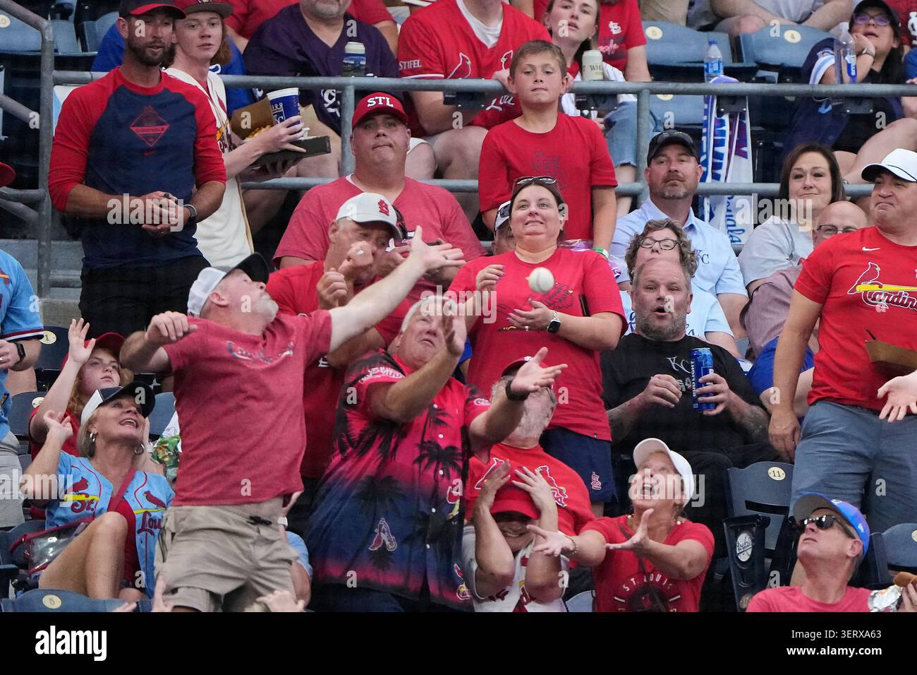 Fans vie for a foul ball hit by Kansas City Royals' Carter Jensen ...