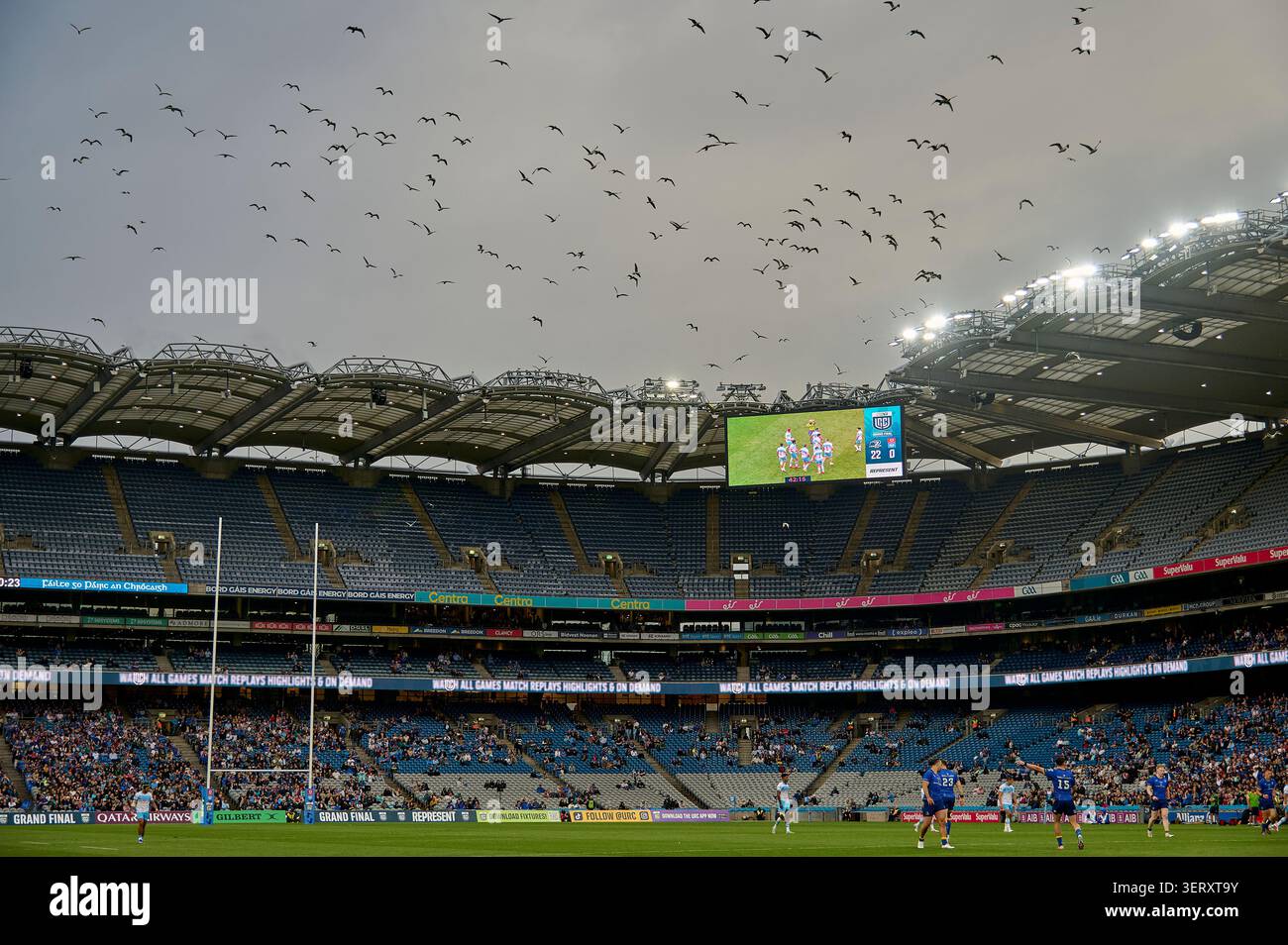 Flock of seagulls over the stadium during the BKT United Rugby ...