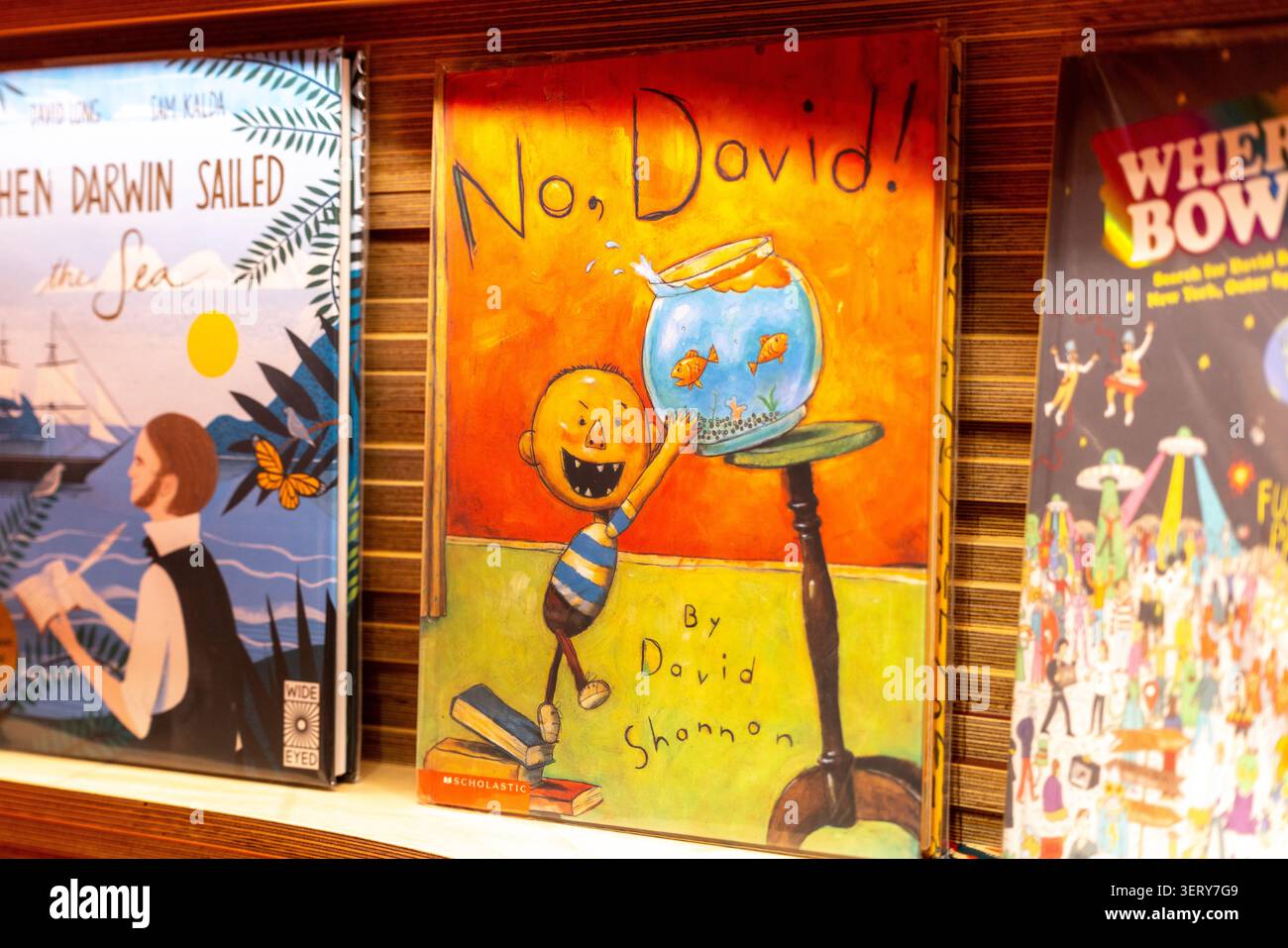 ChildrenÕs books at Phrontisterion, a library housing David WalshÕs ...