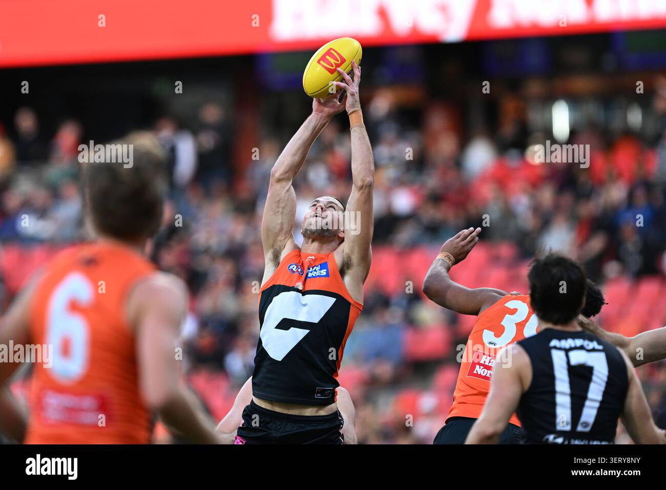 Harry Himmelberg of the Swans during the AFL Round 15 match between the ...