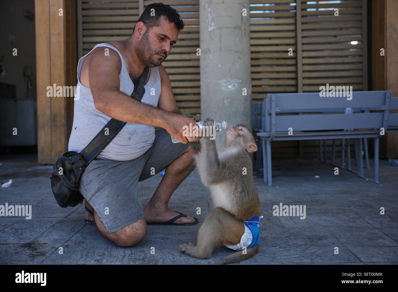 Elias gives water to Romio, his pet monkey, during a hot day with ...