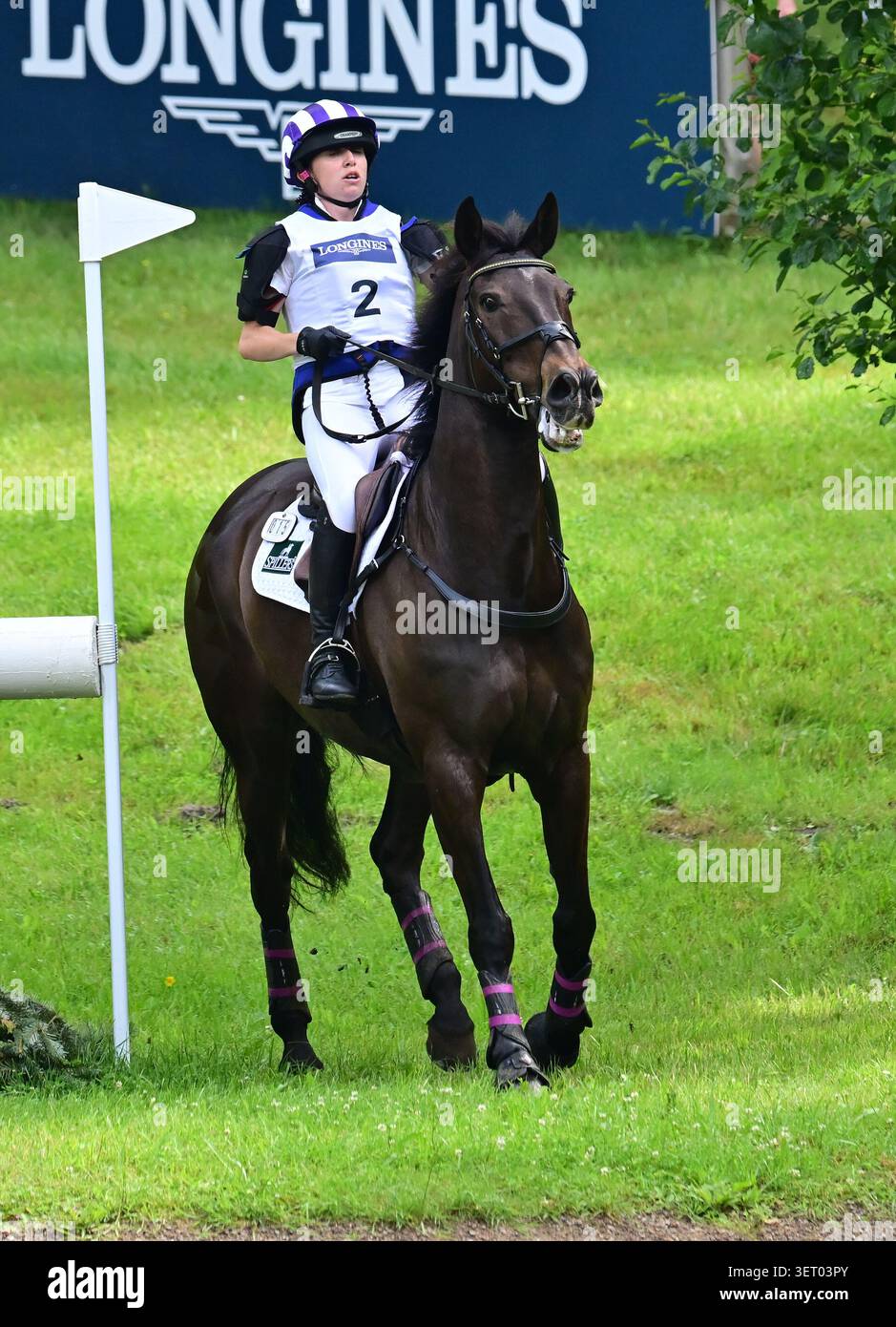 20.06.2026, GER; Luhmuehlen 2026, Eventing, LONGINES CCI5*-L cross ...