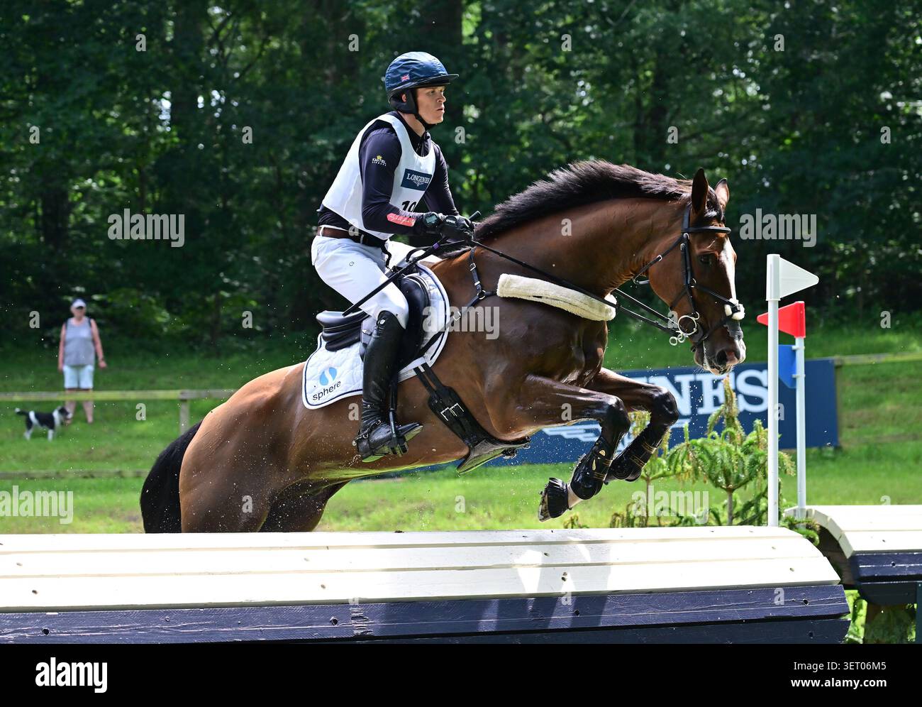 20.06.2026, GER; Luhmuehlen 2026, Eventing, LONGINES CCI5*-L cross ...
