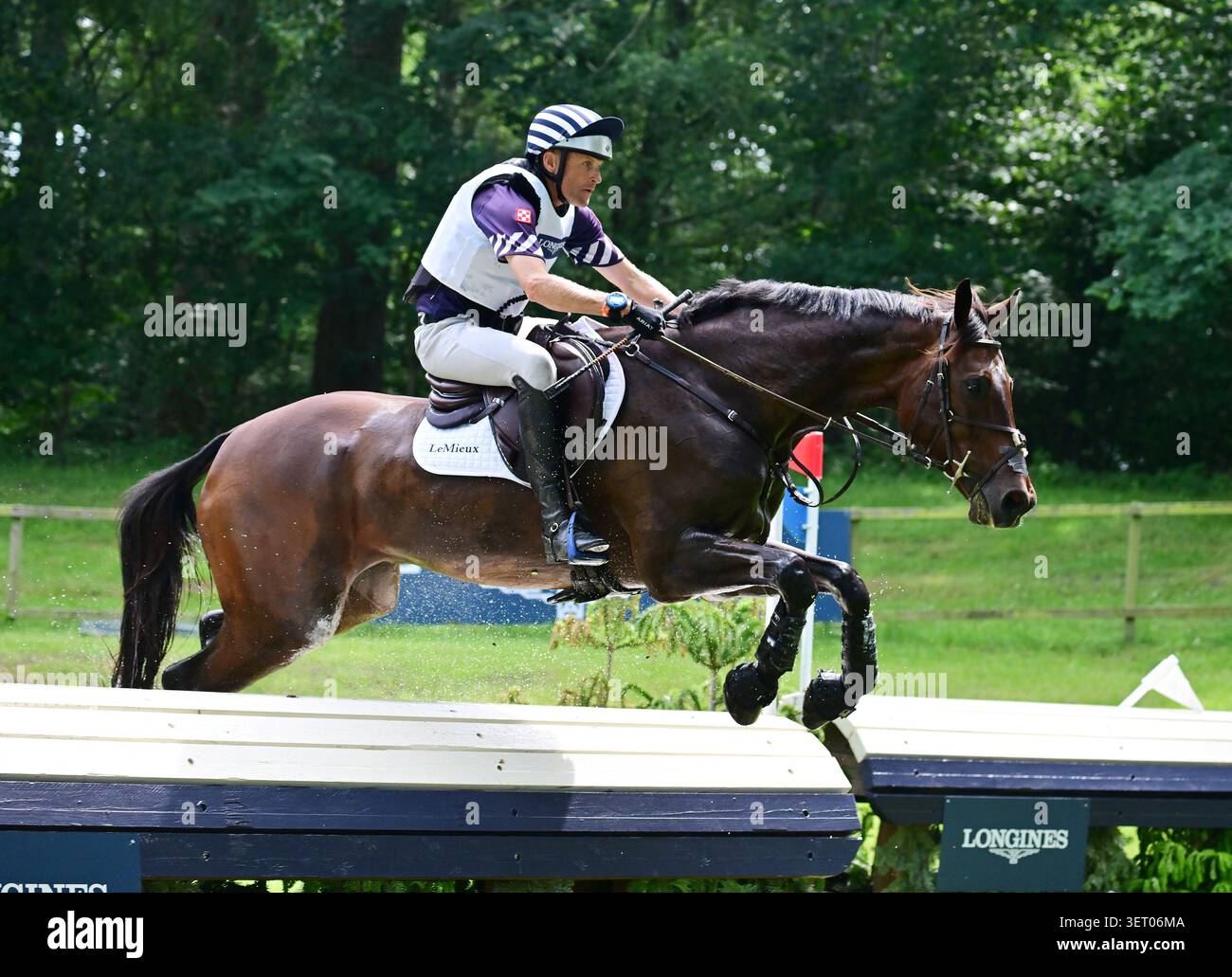 20.06.2026, GER; Luhmuehlen 2026, Eventing, LONGINES CCI5*-L cross ...