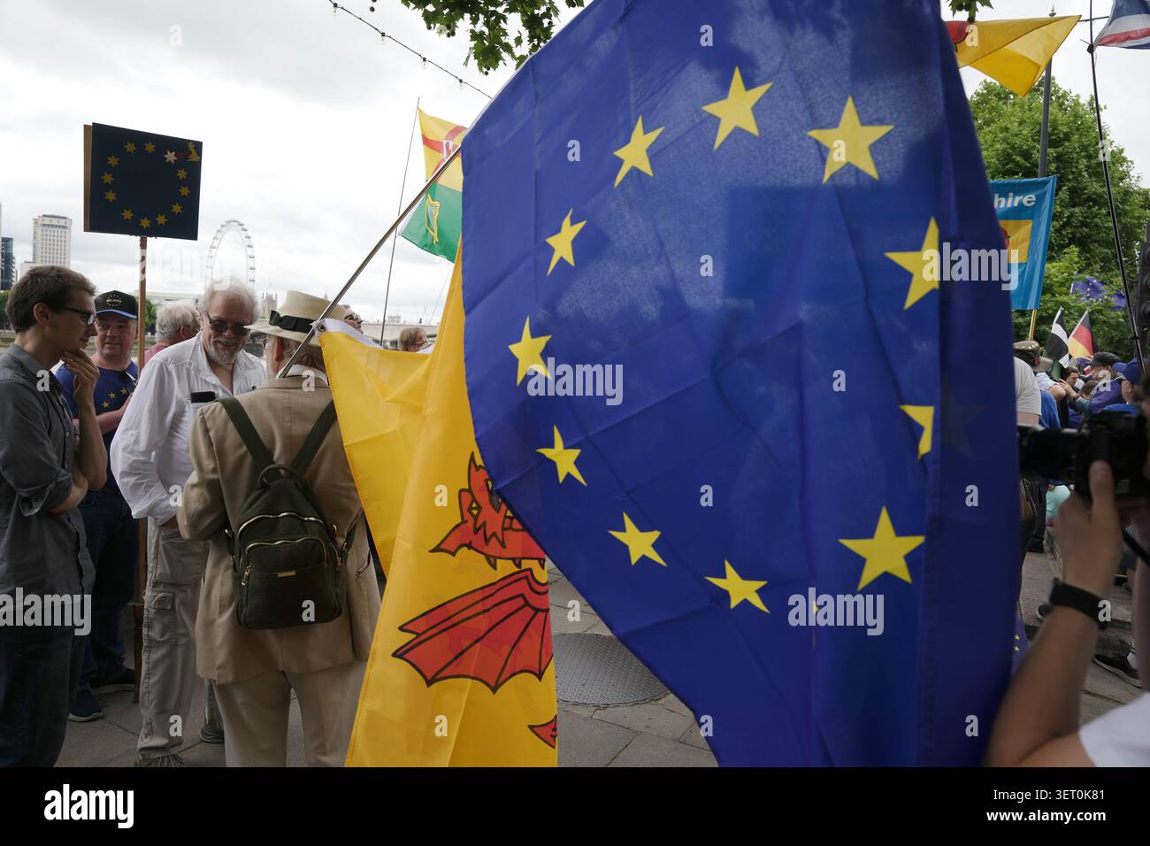 People during a National Rejoin March in London, marking 10 years since ...