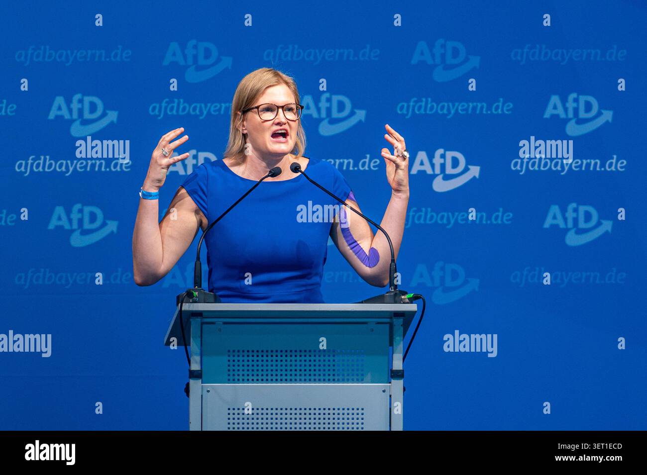20 June 2026, Bavaria, Passau: Katrin Ebner-Steiner, chair of the AfD ...