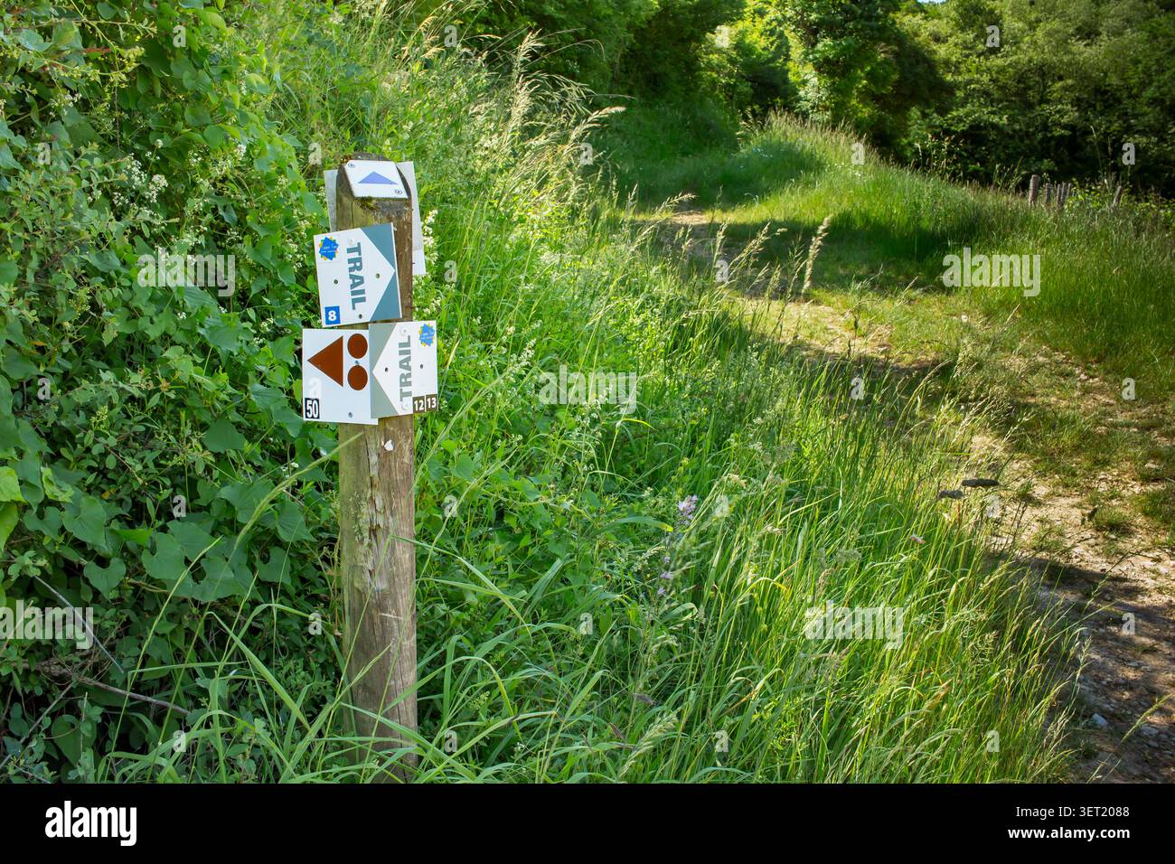 Sancerre, Trail de Sancerre, Espace Trail du Grand Sancerrois ...