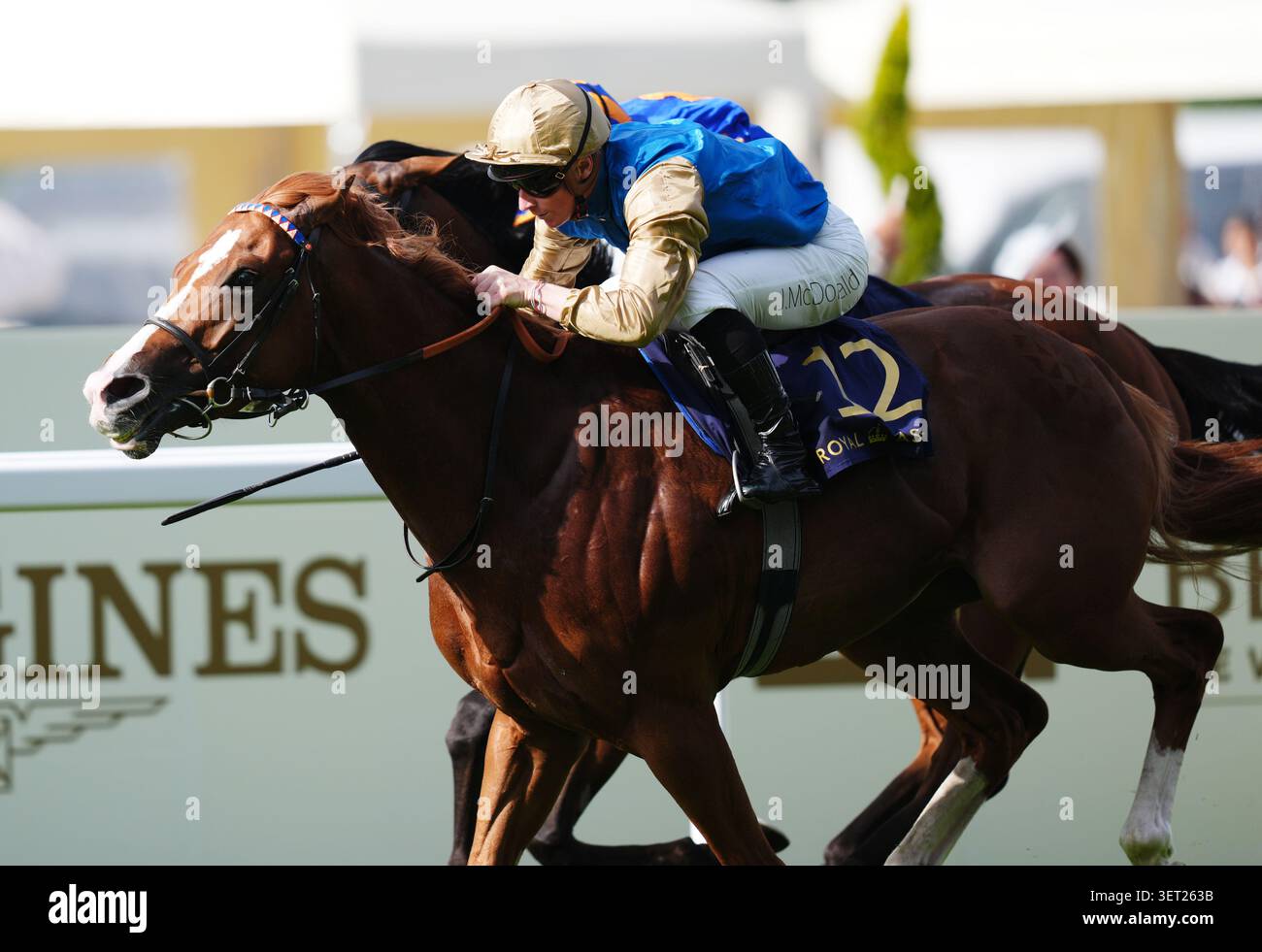 Lost Boys ridden by James McDonald wins the Golden Gates Stakes on day ...