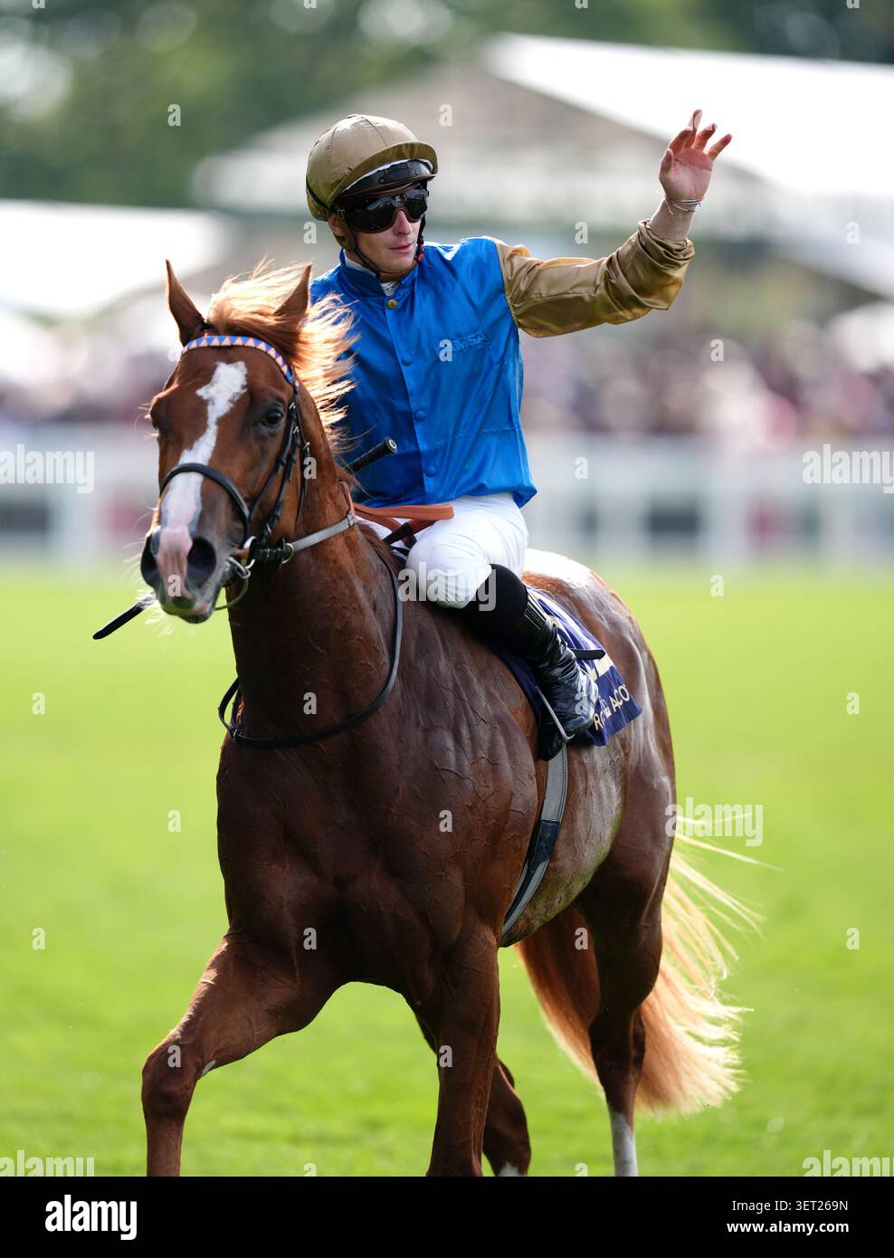 Lost Boys and jockey James McDonald after winning the Golden Gates ...