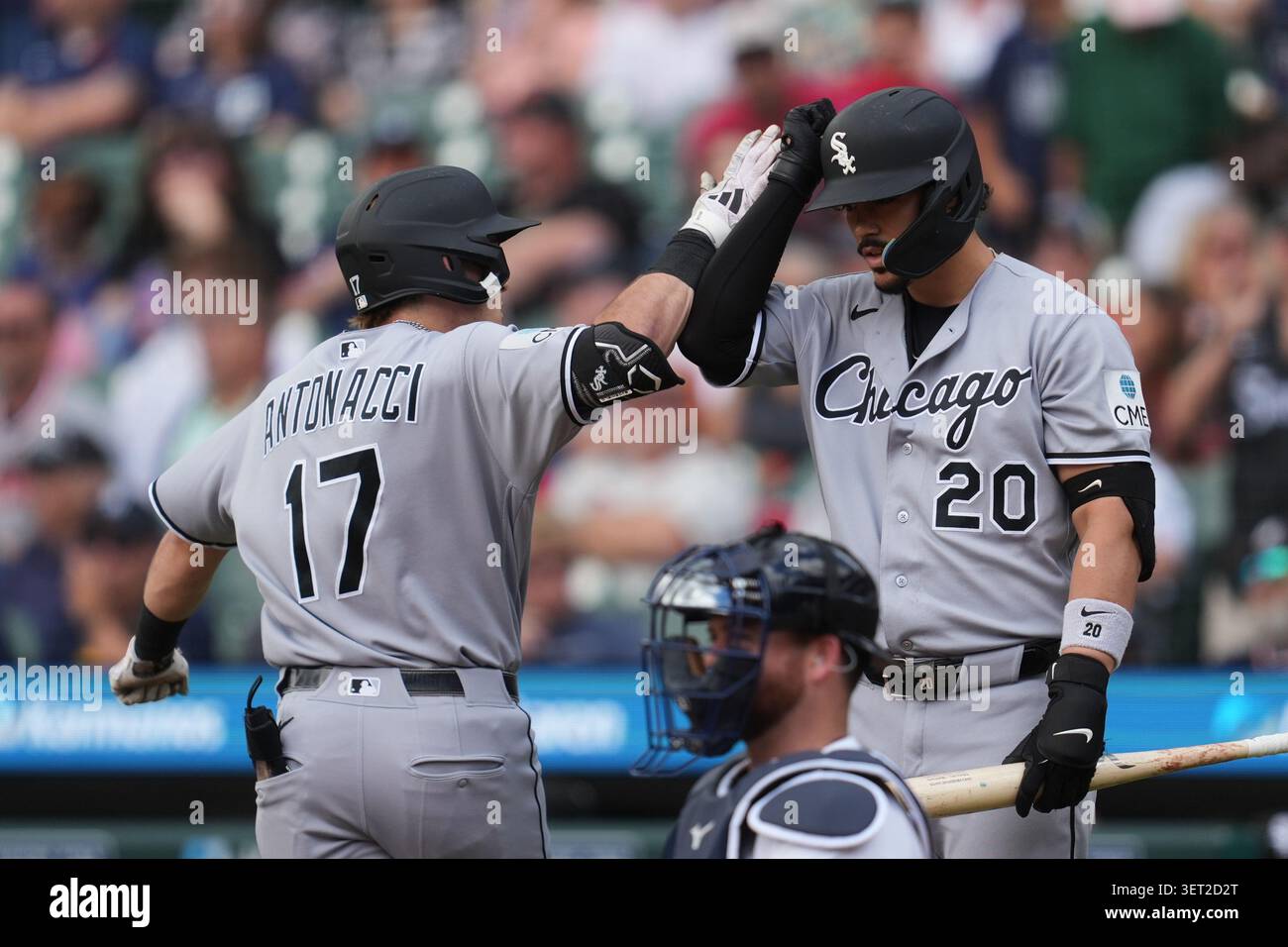 Chicago White Sox's Sam Antonacci (17) celebrates his home run with ...
