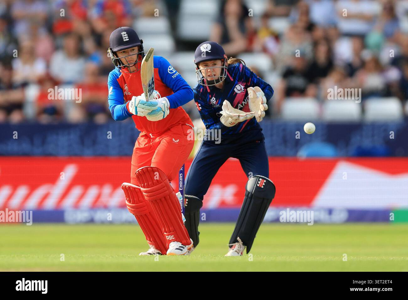 England's Danni Wyatt-Hodge batting during the ICC Women's T20 World ...
