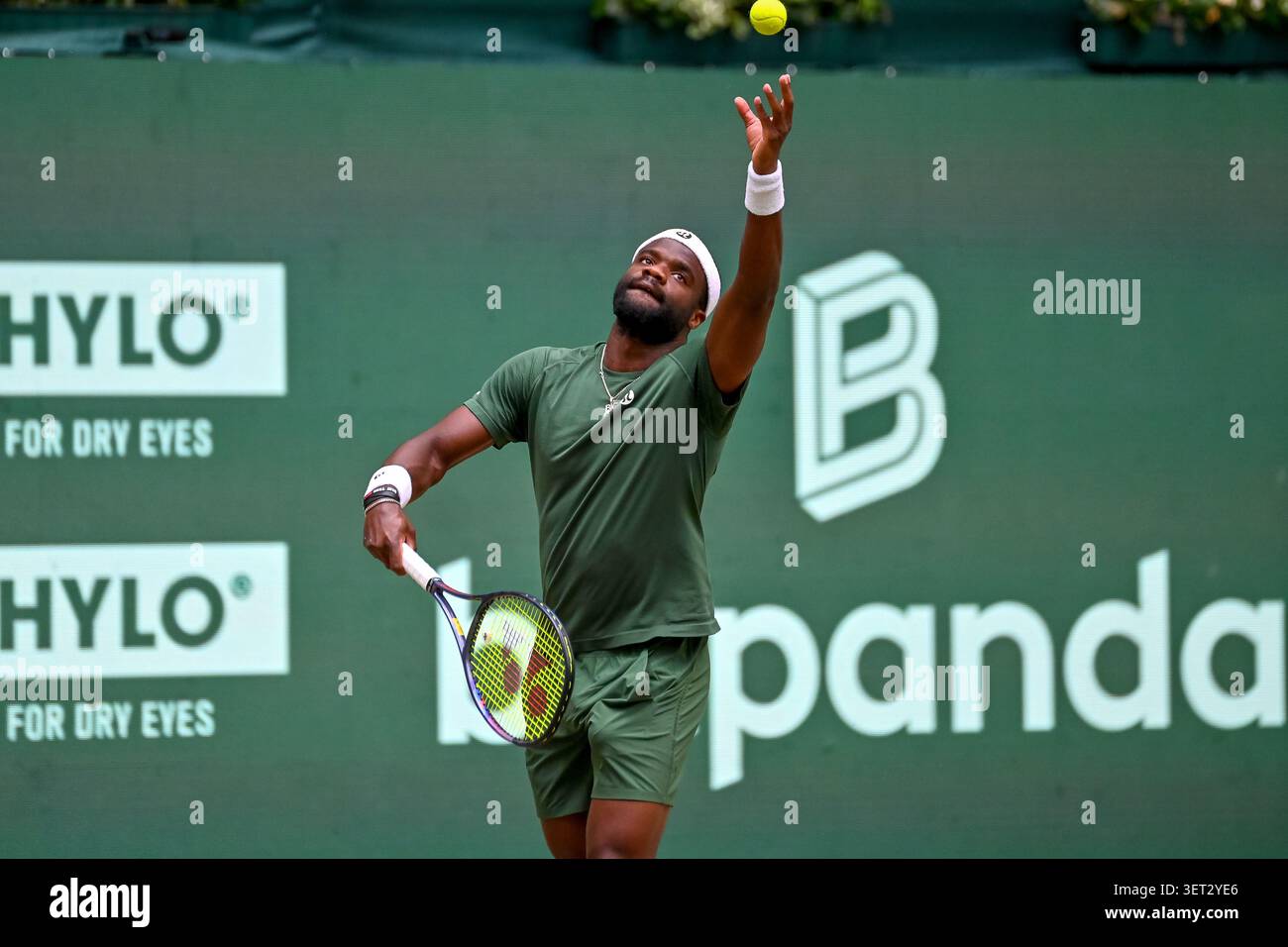 Frances Taifoe (USA) schlaegt auf TERRA WORTMANN Open 2026, Tennis, ATP ...