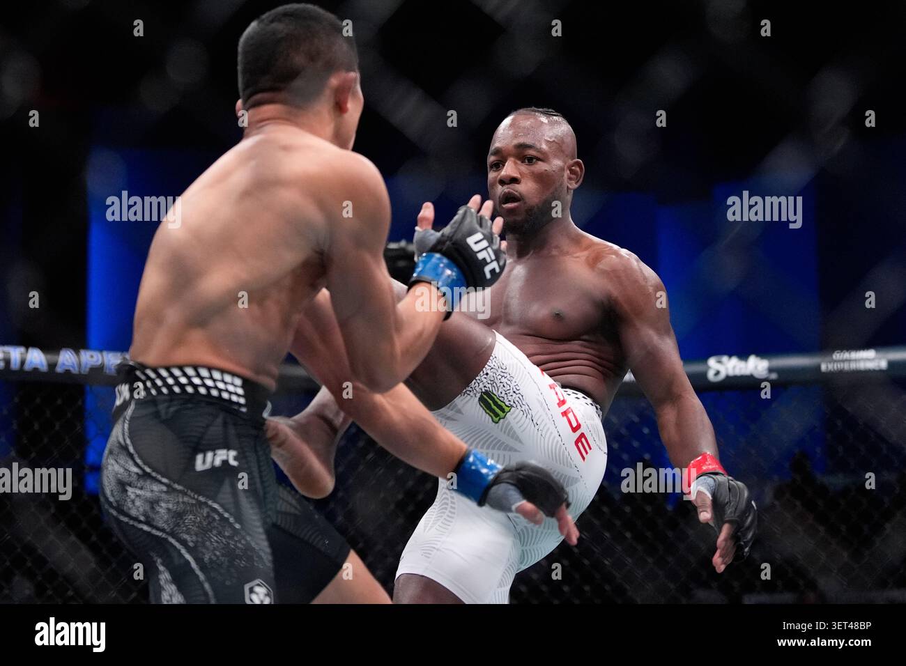 Manel Kape kicks Kyoji Horiguchi during their flyweight bout at a UFC ...