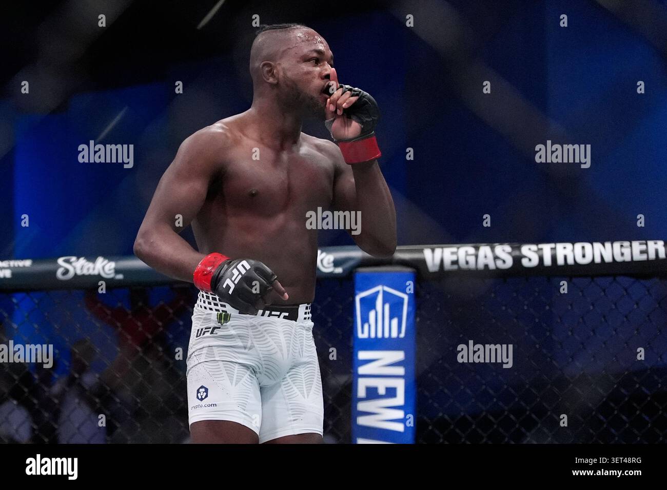 Manel Kape celebrates after defeating Kyoji Horiguchi in a flyweight ...