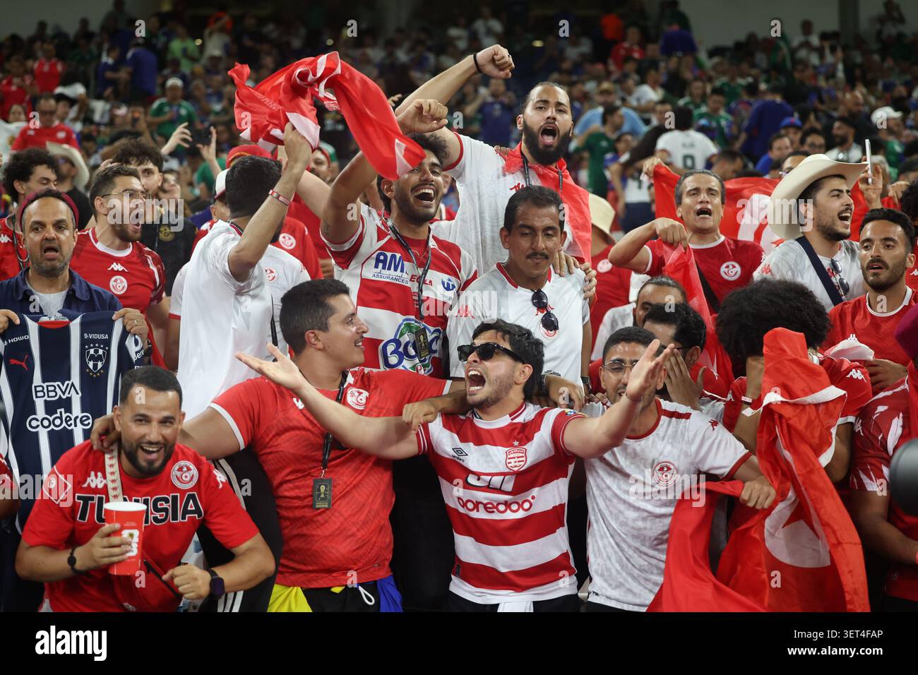 Tunisia fans cheer before the start of the World Cup Group F soccer ...