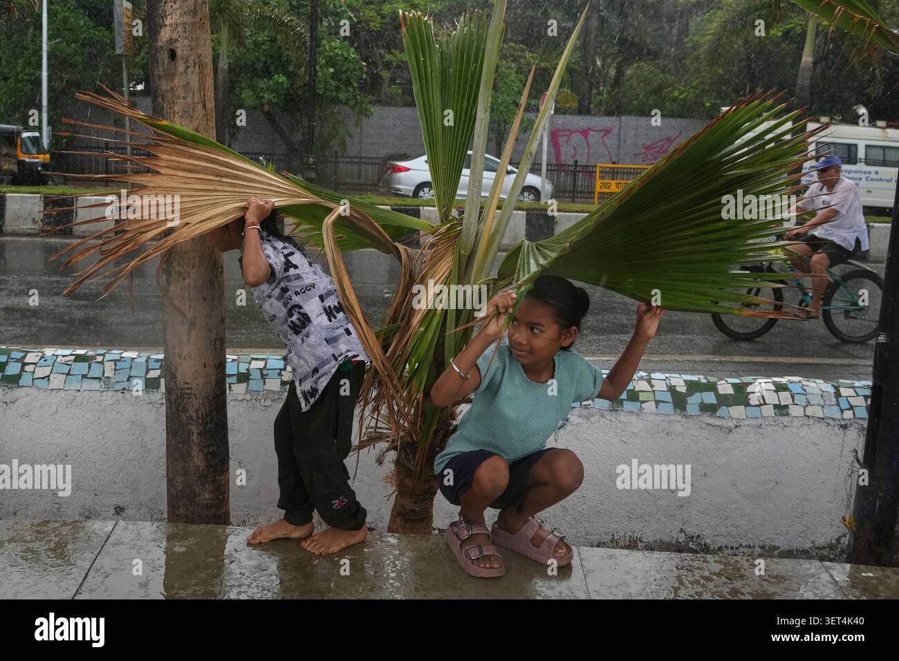 Girls take shelter under palm leaves during a monsoon shower in Mumbai ...